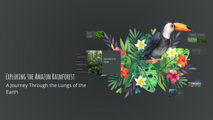 Exploring the Amazon Rainforest by Test User on Prezi