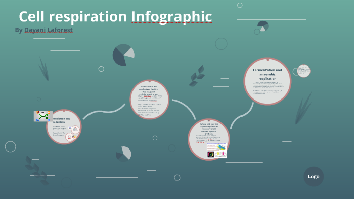 Cell respiration Infographic by Dayani Laforest on Prezi