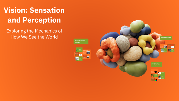 Vision: Sensation and Perception by Georgina Kincaid on Prezi