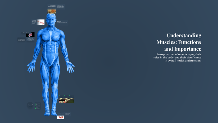 Understanding Muscles: Functions and Importance by Areen on Prezi