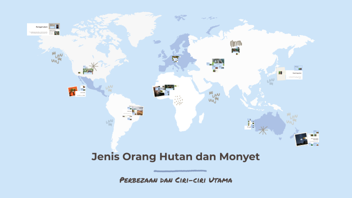 Jenis Orang Hutan dan Monyet by Ferdinand Philip on Prezi