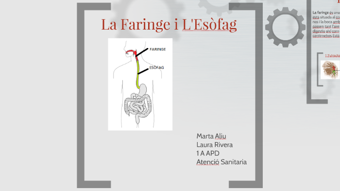 La Faringe i L'Esofag by on Prezi