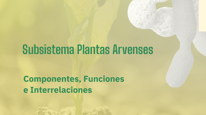Subsistema Plantas Arvenses by Jaime Terrazas on Prezi
