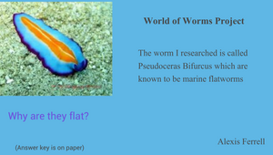 World of Worms Project by Alexis Ferrell on Prezi Design