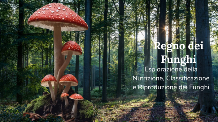 Regno dei Funghi by vghk ojukhbjg on Prezi
