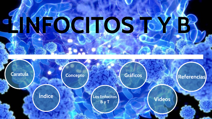 LINFOCITOS T Y B by Jennyfer Danitza Delgado Rosales on Prezi