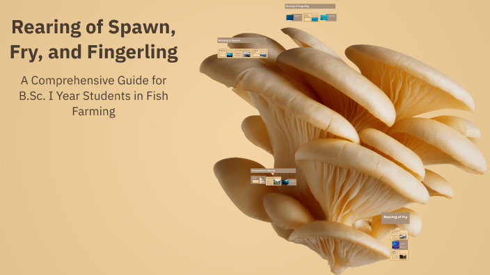 Rearing of Spawn, Fry, and Fingerling by Dewashree Nagarkar on Prezi