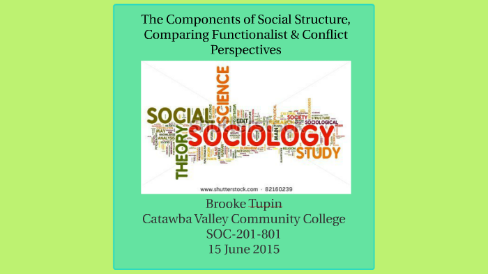 The Components of Social Structure: by Brooke Broadwell on Prezi