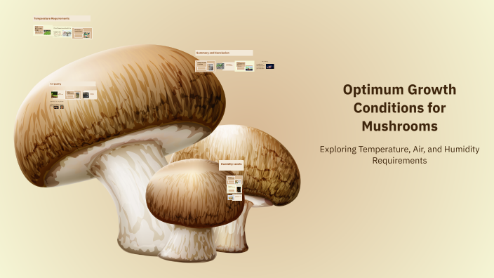 Optimum Growth Conditions for Mushrooms by Nandana Menon on Prezi
