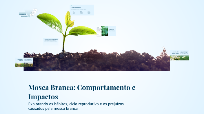 Mosca Branca: Comportamento e Impactos by Arthur Arend on Prezi