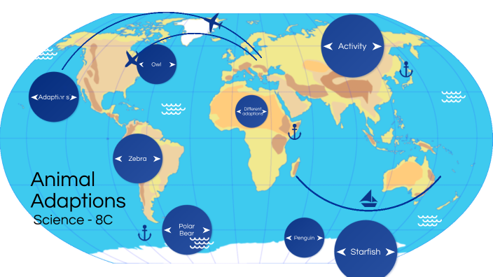 Animal Adaptions by nicola conroy on Prezi