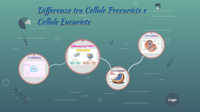 Differenze tra Cellule Procariote e Cellule Eucariote by Lorenzo Moi on Prezi
