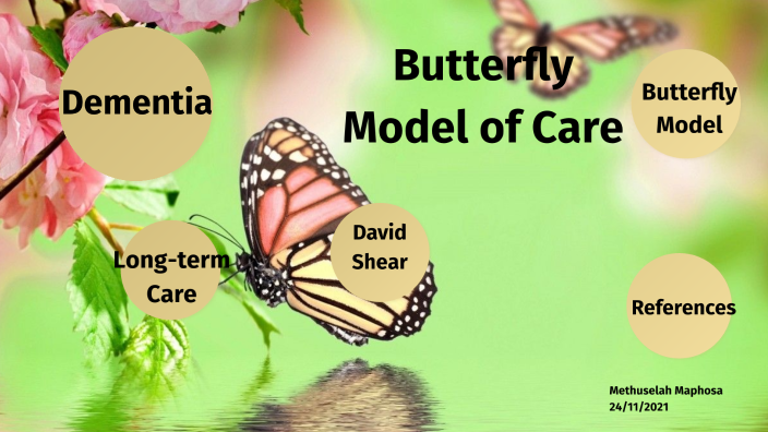 BUTTERFLY MODEL OF CARE by Methuselah Maphosa on Prezi