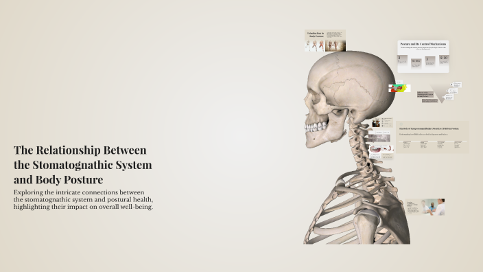 The Relationship Between the Stomatognathic System and Body Posture by ...