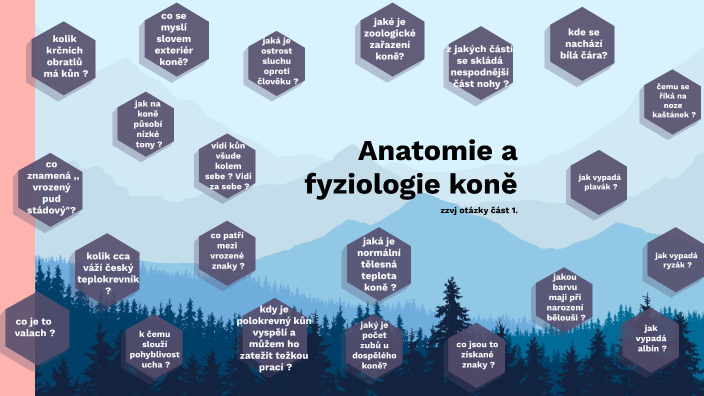 anatomie a fyziologie koně by Adéla Tejnorová on Prezi
