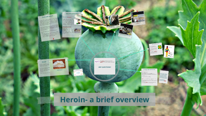 Heroin- a brief overview by Giles James