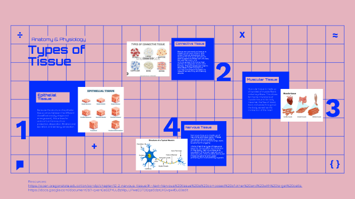 Types of Tissues by Kennedy Call on Prezi