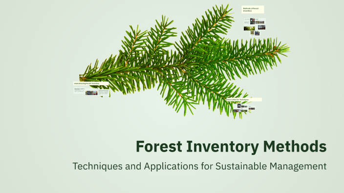 Forest Inventory Methods by Wan Wan on Prezi