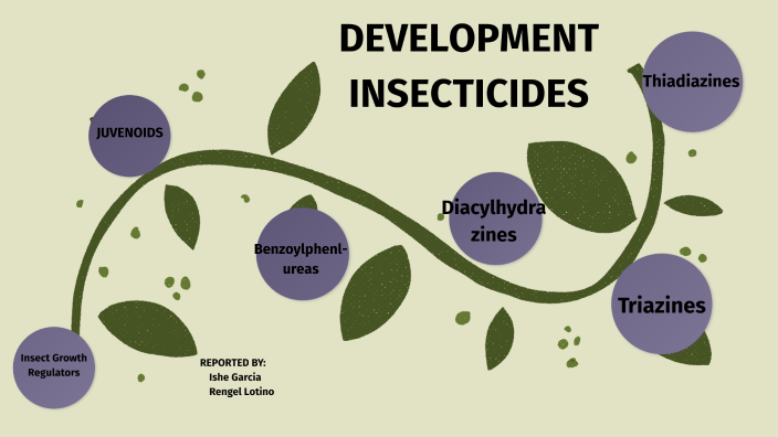INSECT DEVELOPMENT by Ishe Garcia on Prezi
