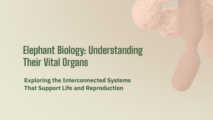 Elephant Biology: Understanding Their Vital Organs by Kennedy Thompson ...