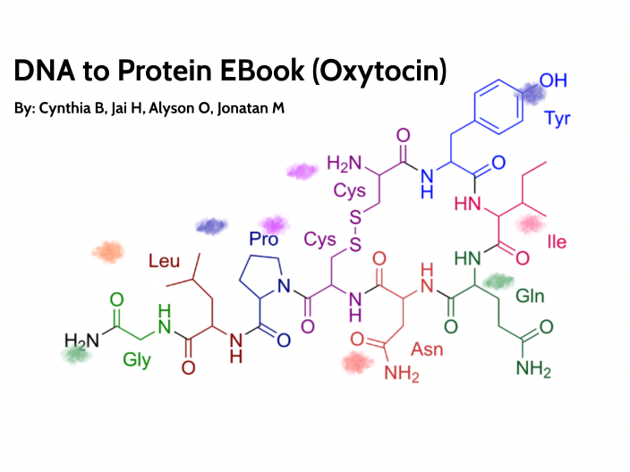 DNA to Protein EBook by Cynthia Bannerman on Prezi