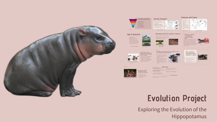 Evolution Project - Cadence and Lilly by Lilly Jensen on Prezi