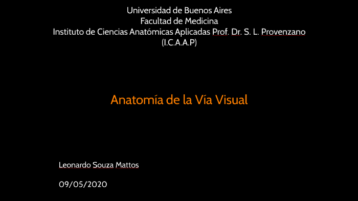 10 - Anatomia de la Vía Visual by Leonardo Mattos on Prezi