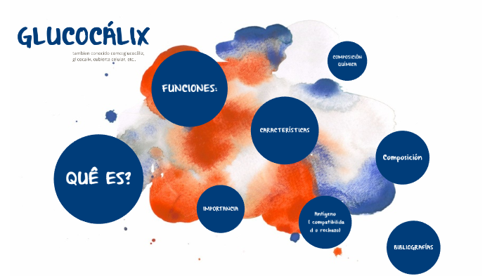 glucocâlix by JOSE ALBERTO HERNANDEZ VIVANCO on Prezi