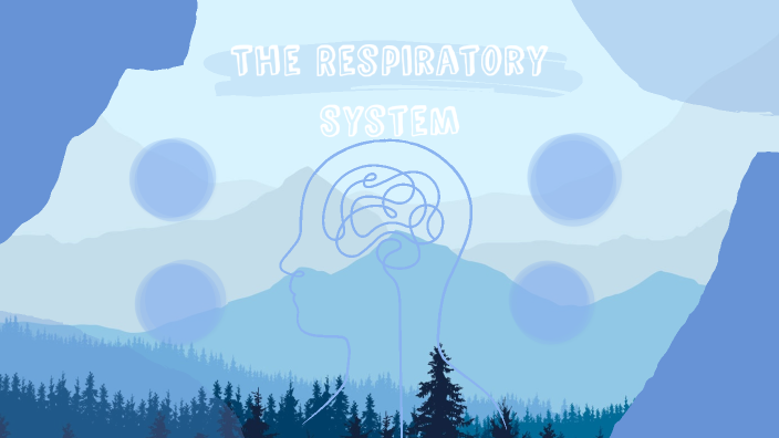 Respiratory System by Mariam Mikhail on Prezi