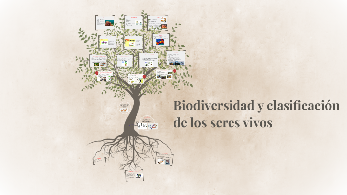 Biodiversidad y clasificación de los seres vivos by Maria Sánchez ...