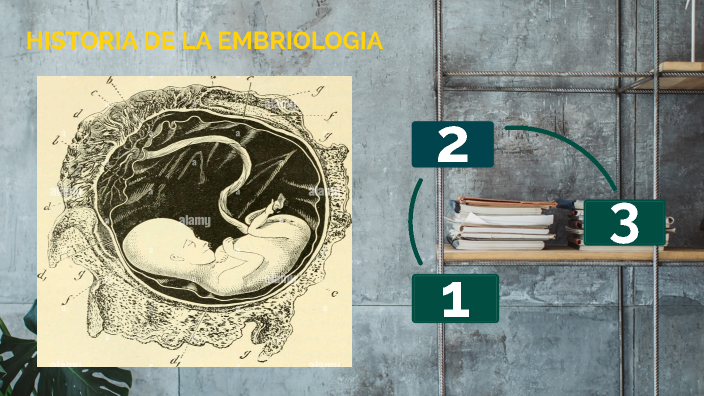 Historia de la Embriologia by tupac duy on Prezi