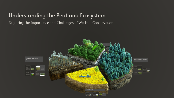 Understanding the Peatland Ecosystem by Jah Mejia on Prezi