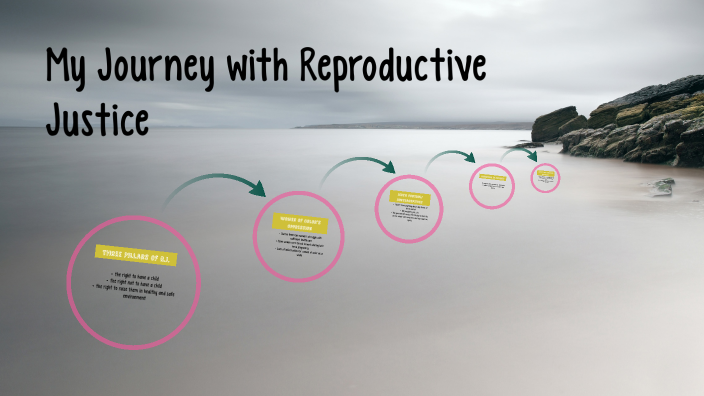Reproductive Justice Map by Tanea Doswell on Prezi