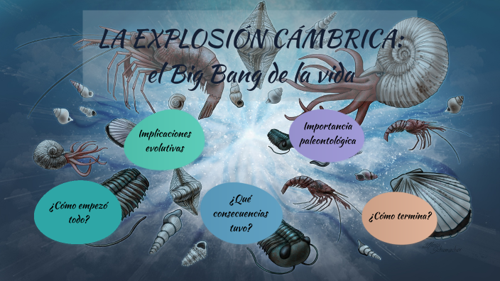 La explosion cambrica by m patri on Prezi