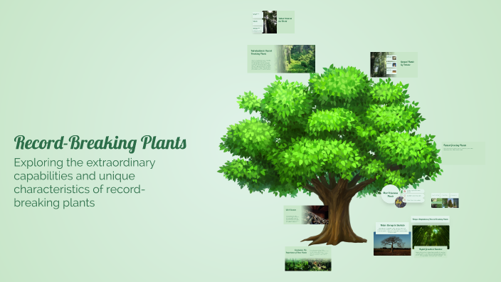 Record-Breaking Plants by Ярослав Коц on Prezi