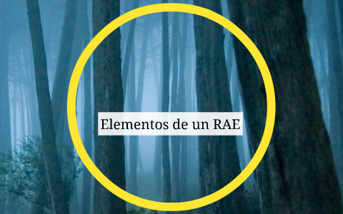 Elementos de un RAE by laura ronquillo on Prezi