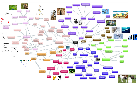 Evolution Concept Map by Yavi Mano on Prezi