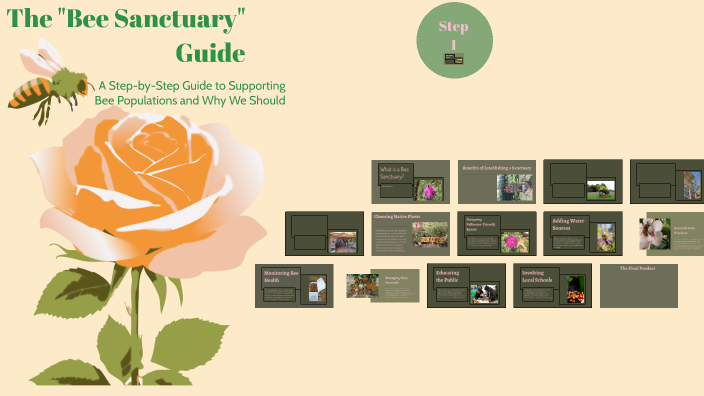 How to make a Bee Sanctuary by Karleigh Smith on Prezi