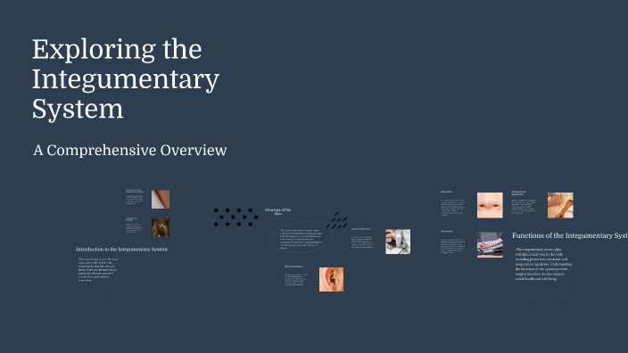 Exploring the Integumentary System by Barbara Perdomo on Prezi