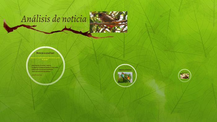 Análisis de noticia by fabian arenas ruiz on Prezi