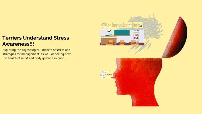 Understanding Stress Awareness in AP Psychology by Gabriela Wainz on Prezi