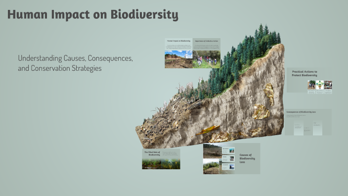 Human Impact on Biodiversity by Xuan Anh Chau on Prezi