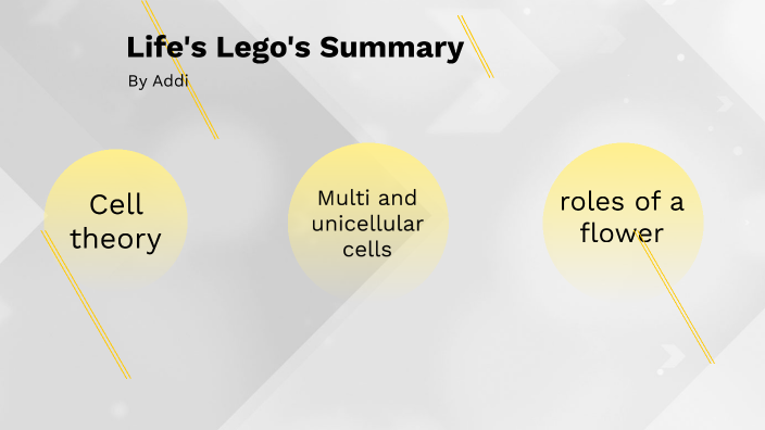 Lifes Legos Summary by Addison Rohowicz-Donnelly on Prezi