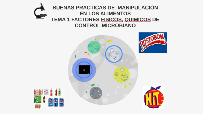 FACTORES FISICOS Y QUIMICOS DE CONTROL MICROBIANO by on Prezi