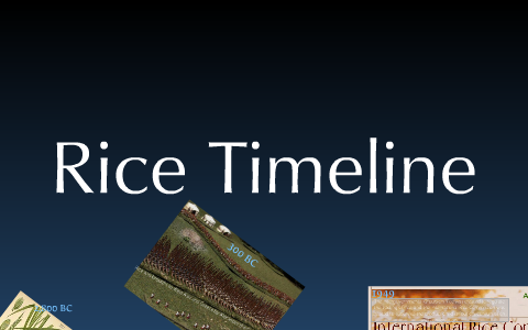 Rice Timeline by Lily Zhang on Prezi