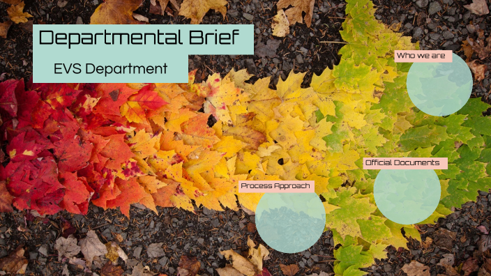 EVS Department Audit by Hafsa Amjad on Prezi