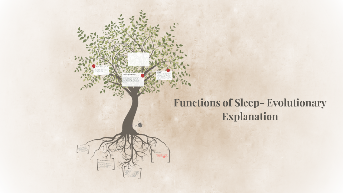 Functions of Sleep- Evolutionary Explanation by amy garrod on Prezi