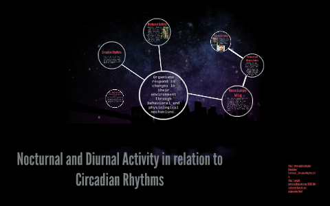 Nocturnal and Diurnal Activity in relation to Circadian rhythms by ...