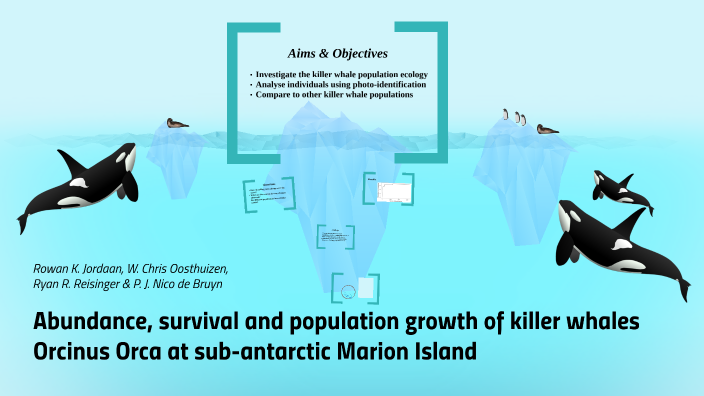Orca Population Ecology by robert spemce on Prezi