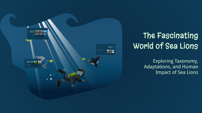 The Fascinating World of Sea Lions by Austin Gustafson on Prezi